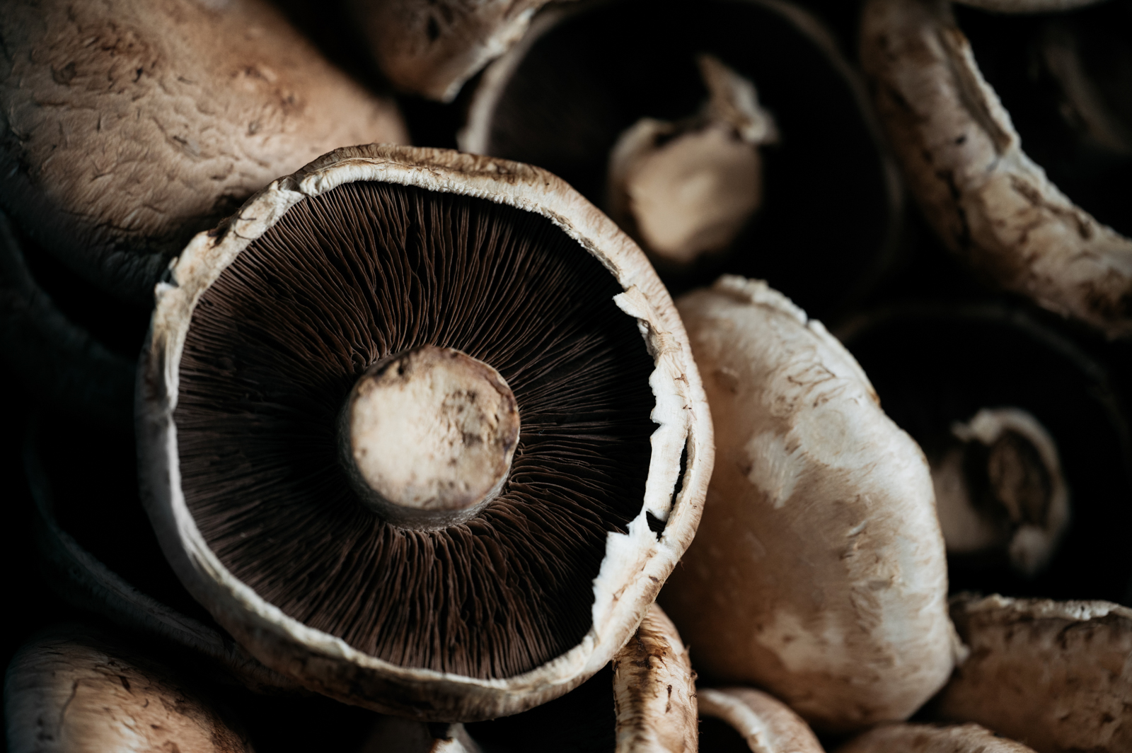 10 Italian Ingredients You Must Have For Your Kitchen